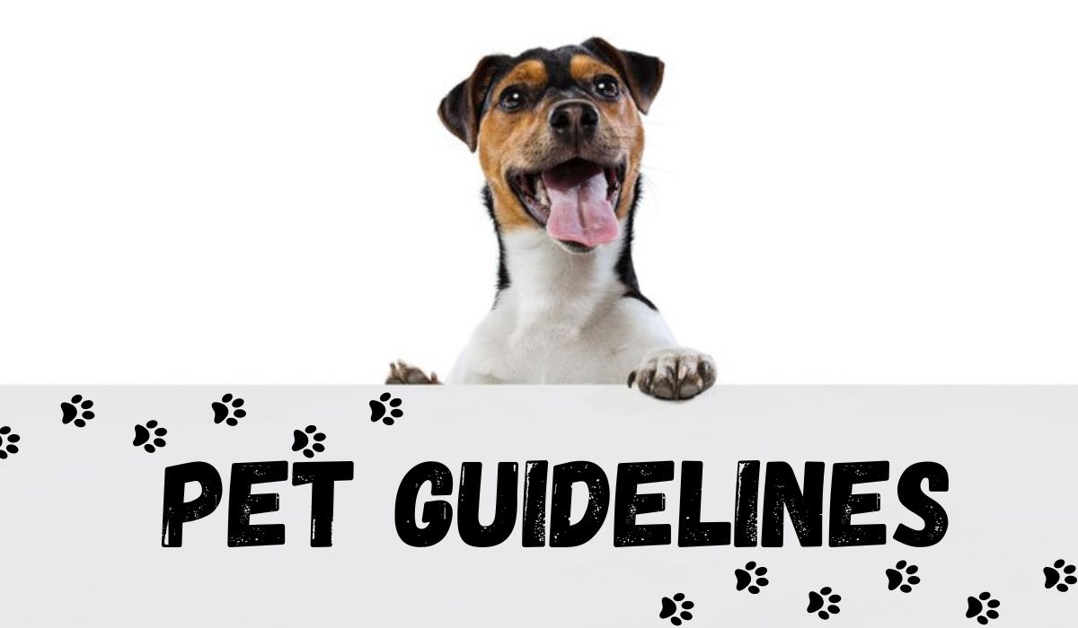 5 Pet-Friendly Simple Policies Landlords Need to Secure Tenants