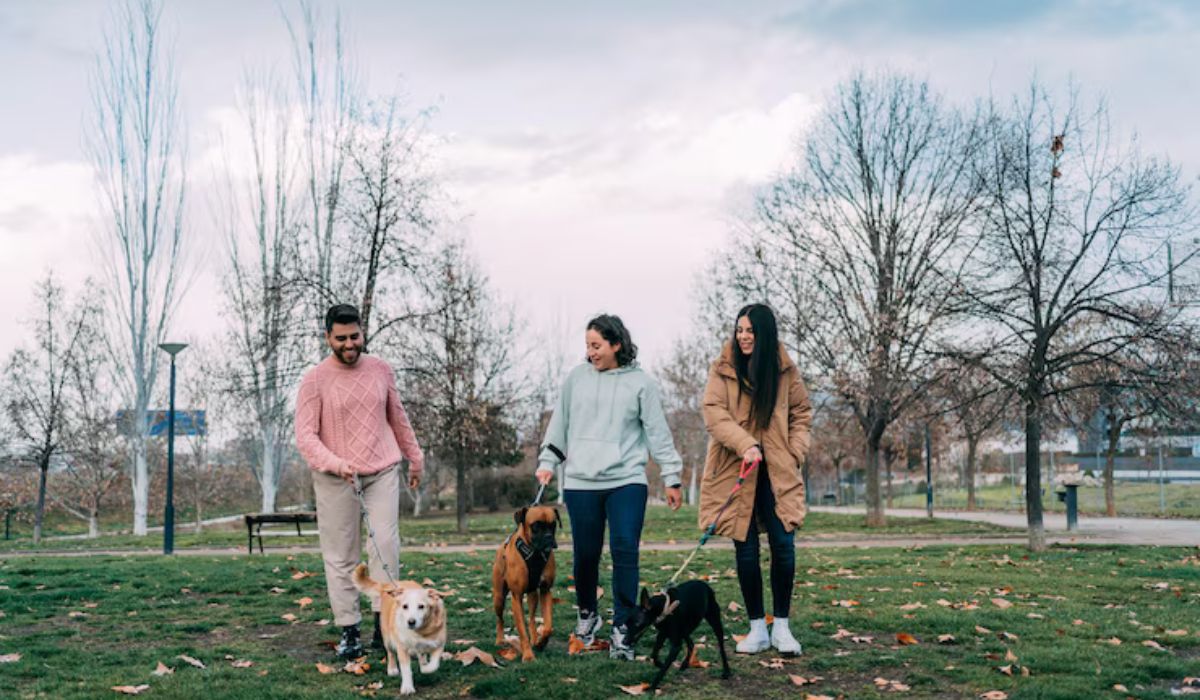 5 Helpful Benefits of Living with Pets as a Tenant